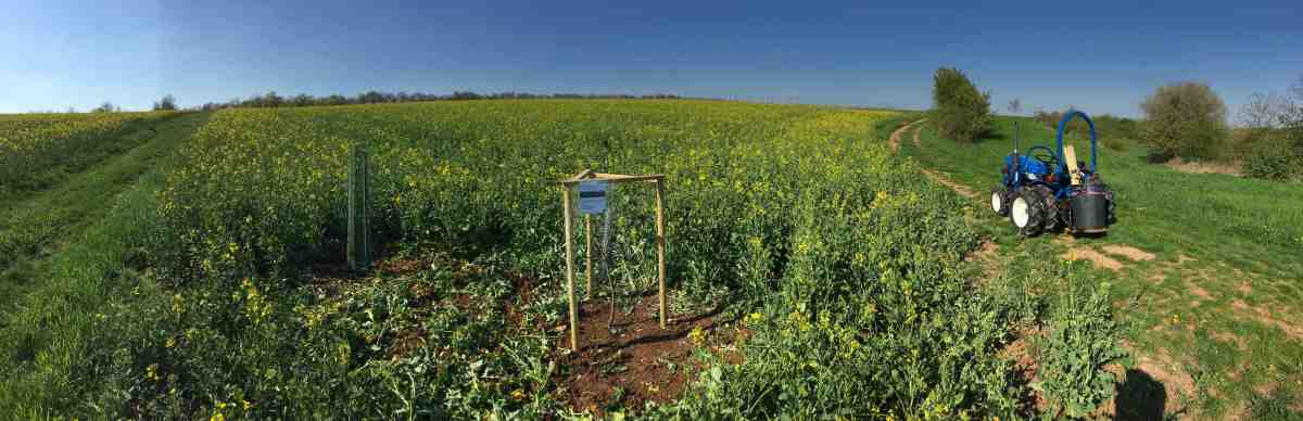 Bienenweide Monau – ArtenReich